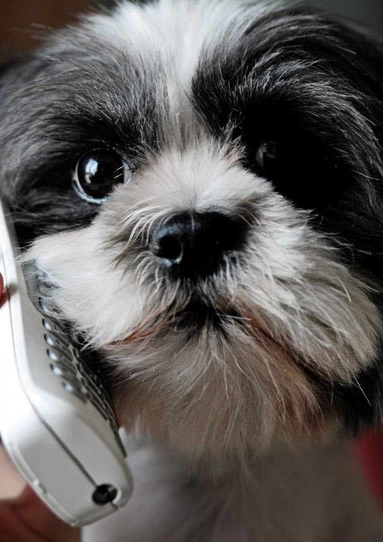 When to Call 9-1-1 - Richmond Fire-Rescue